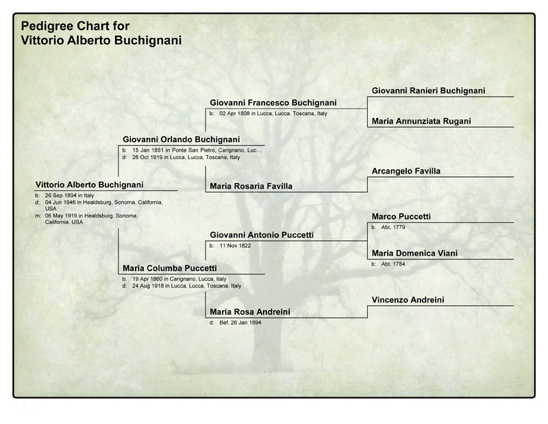 Buchignani-Giorgi Pedigrees – Sleuth4Family
